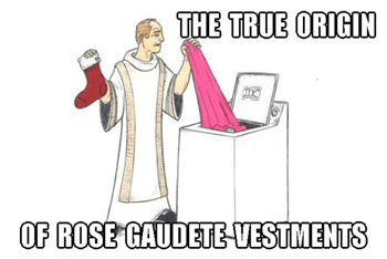 History of Gaudete Pink Rose - PrayTellBlog